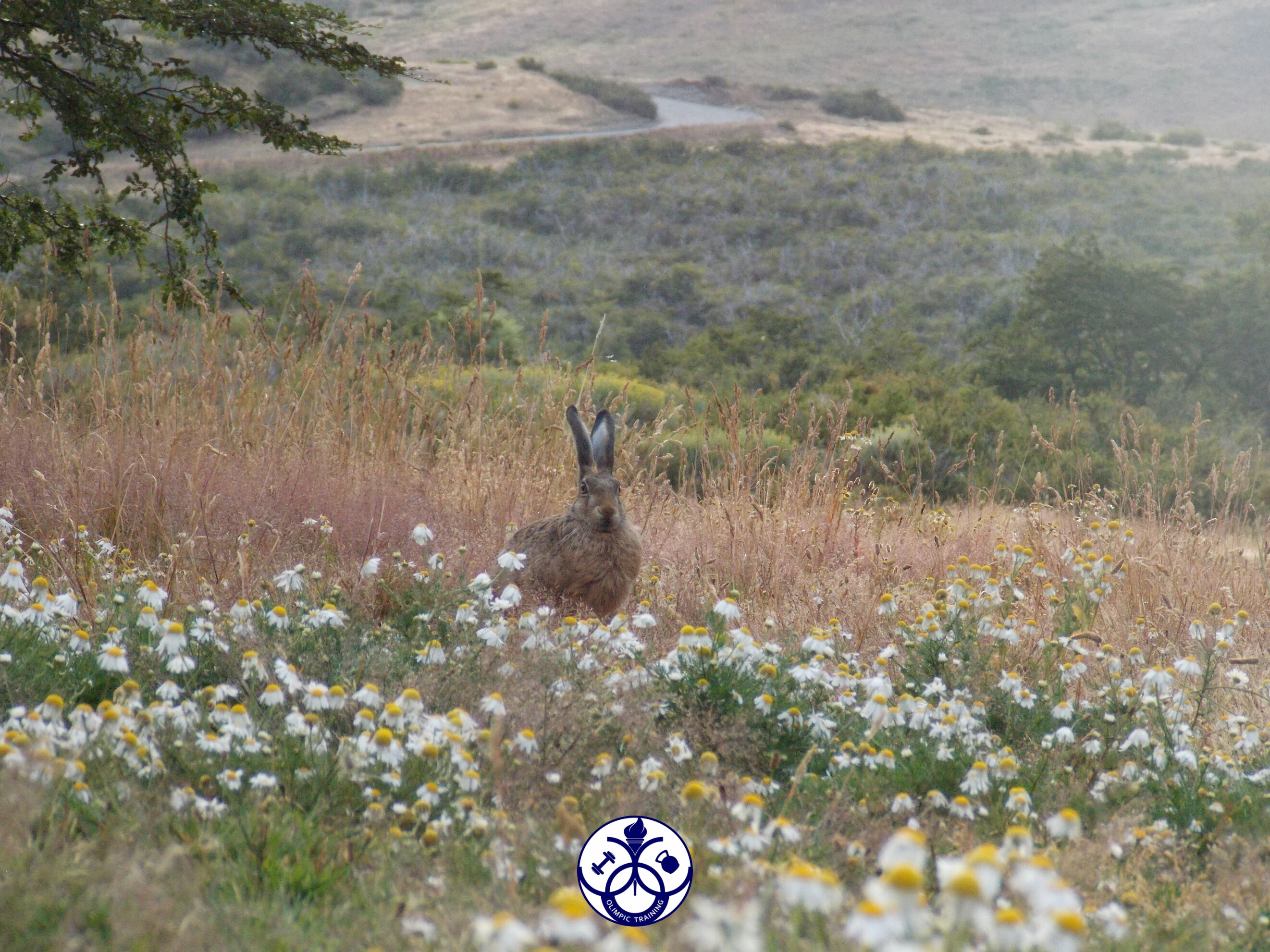 Salidas Outdoor – Olimpic Training